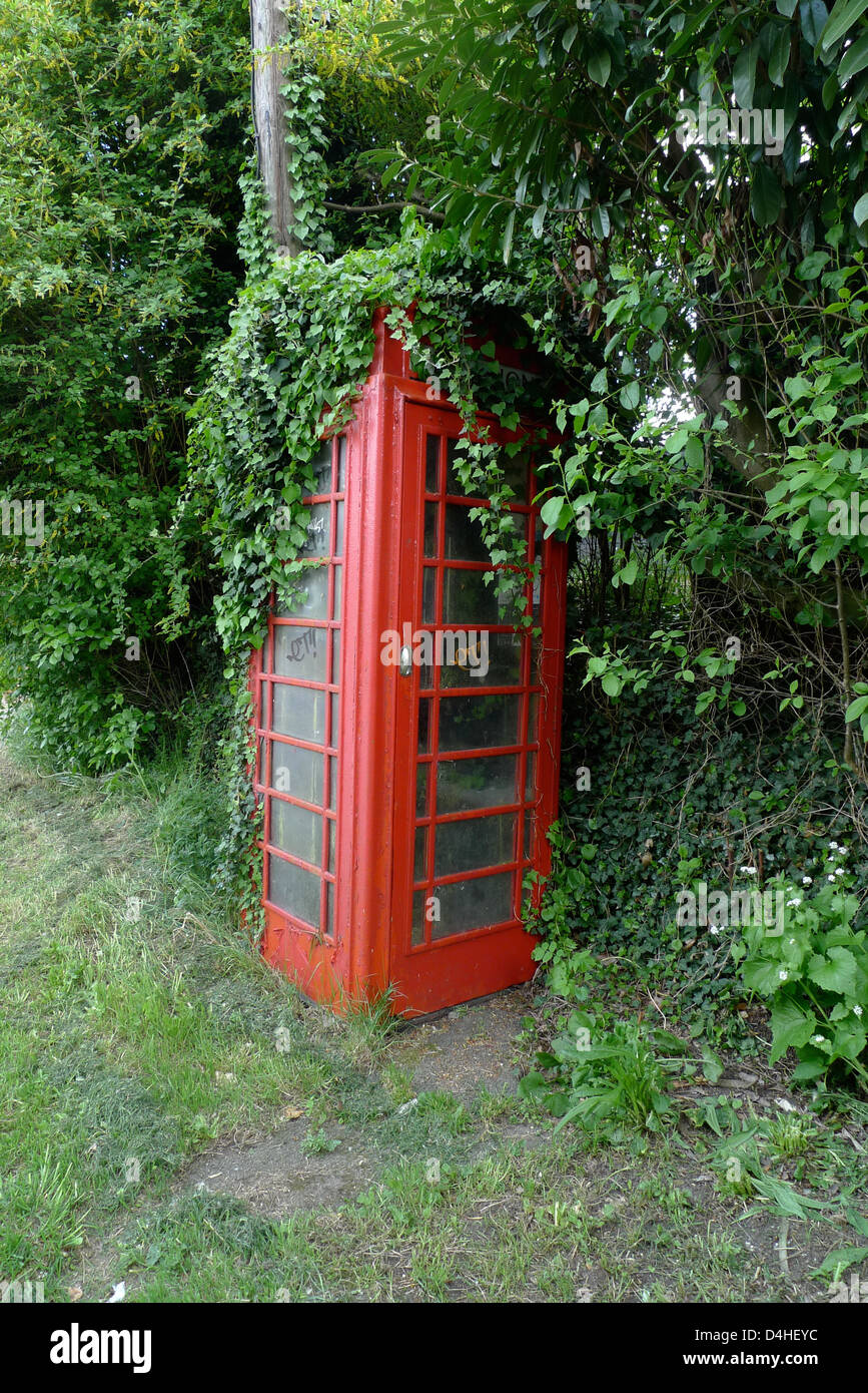 A red telephone box disappearing under foliage Stock Photo - Alamy