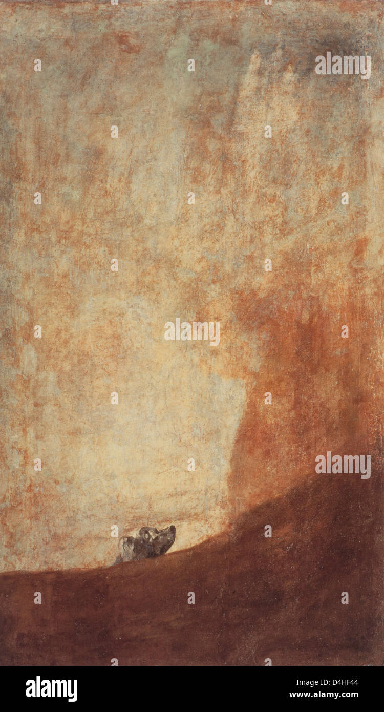 The Dog, 1820-23 by Francisco Goya at the Museo del Prado, Madrid Stock ...