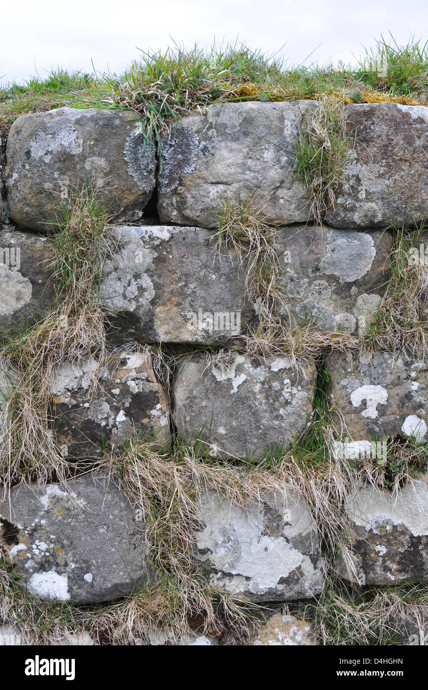 Hadrian's Wall at Steel Rigg, Northumberland National Park, England ...