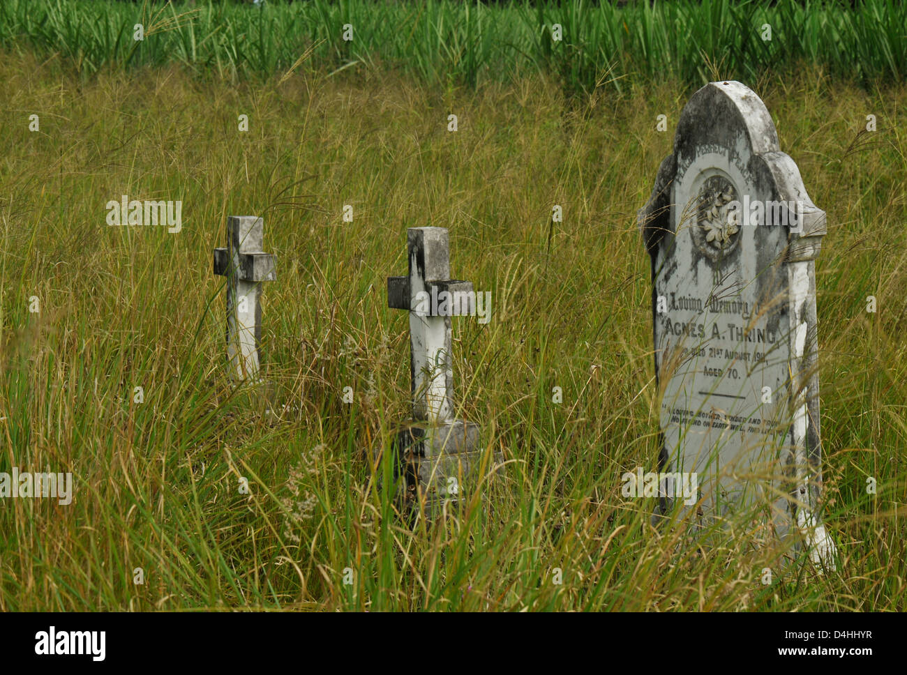 Civilian tombstones at battle of Gingindlovu graveyard, KwaZulu-Natal ...