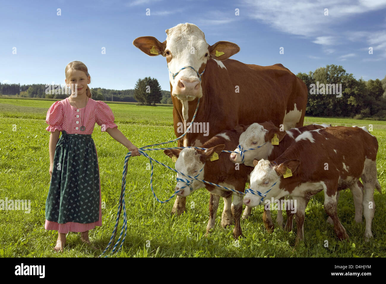 (dpa file)- Little Rebecca poses with the cow Polly Ajana and her ...