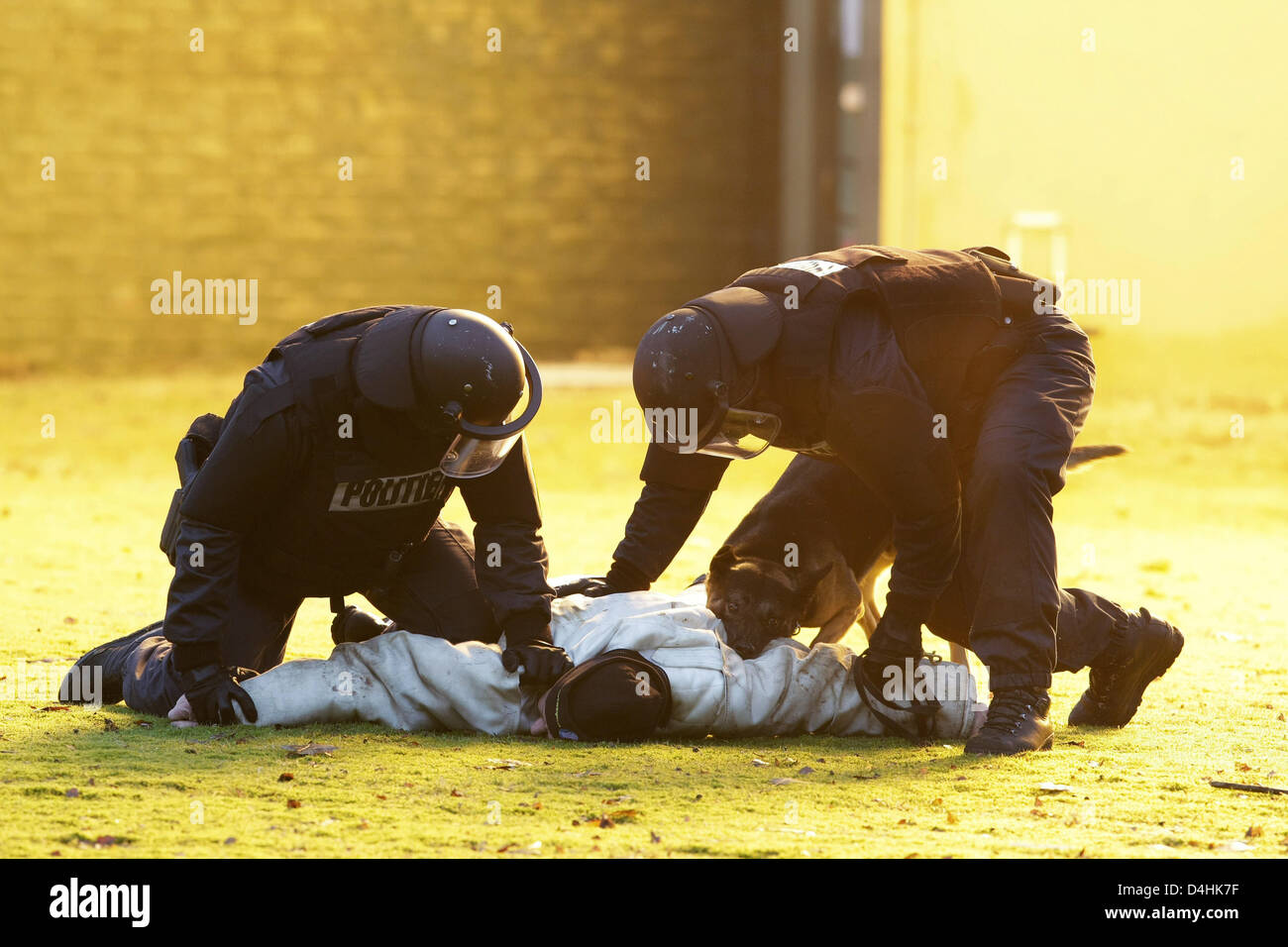 Officers of the Dutch special police forces arrest a ?criminal? at a ...