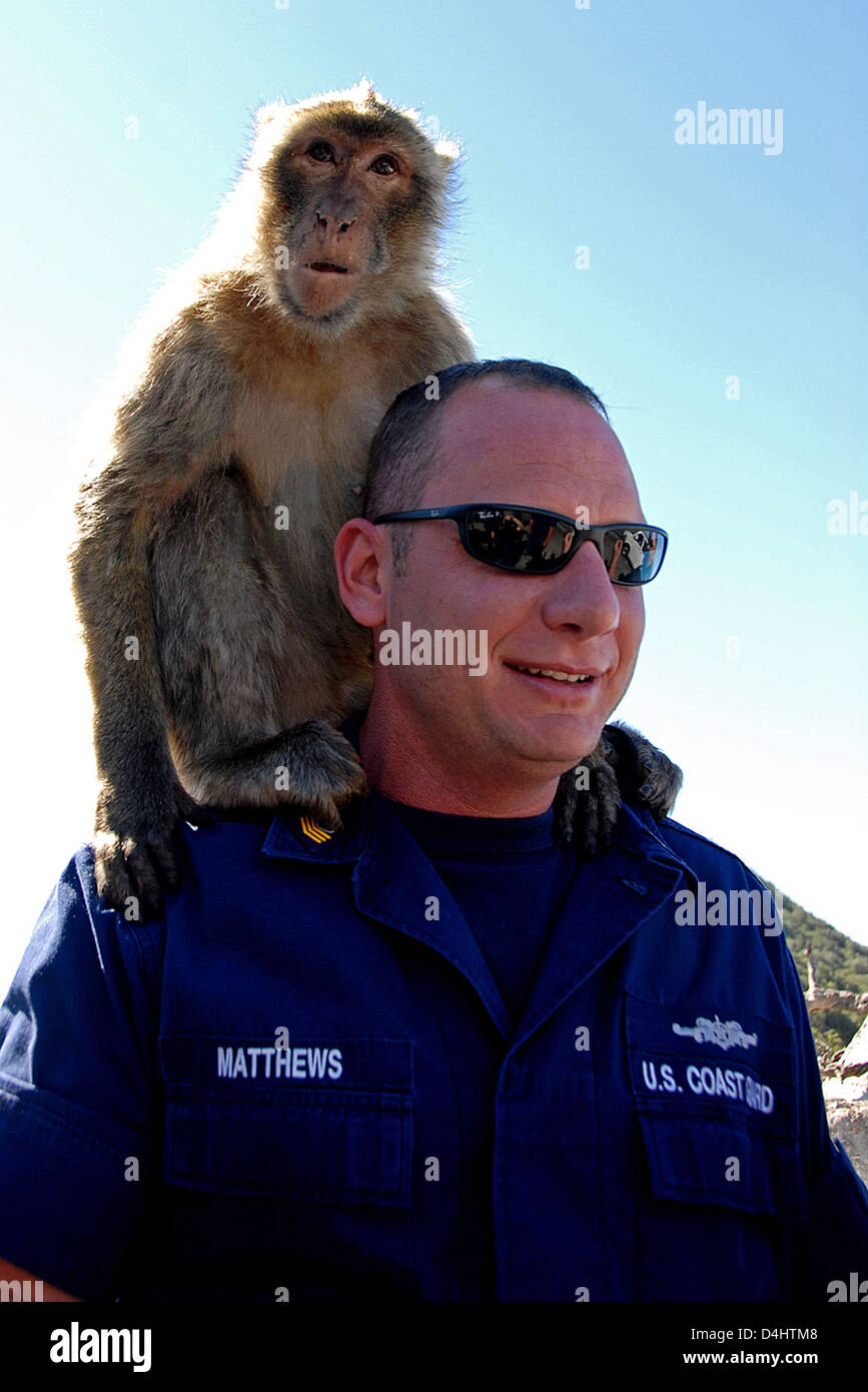 080808 hi-res stock photography and images - Alamy