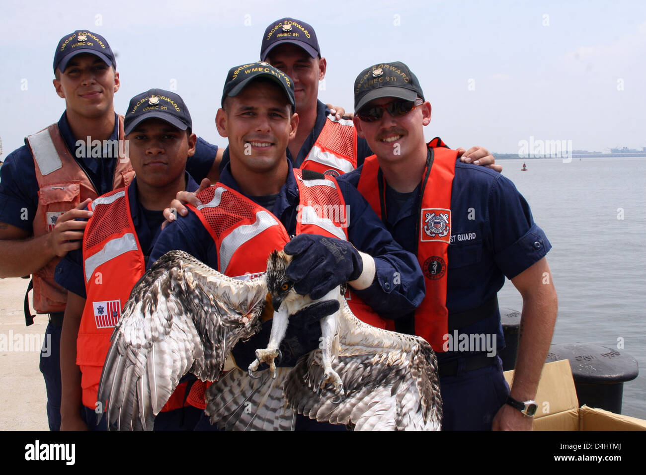 Osprey rescue hi-res stock photography and images - Alamy
