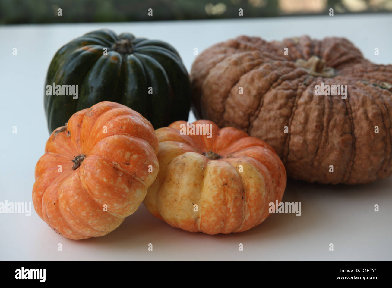 Types of gourds hi-res stock photography and images - Alamy