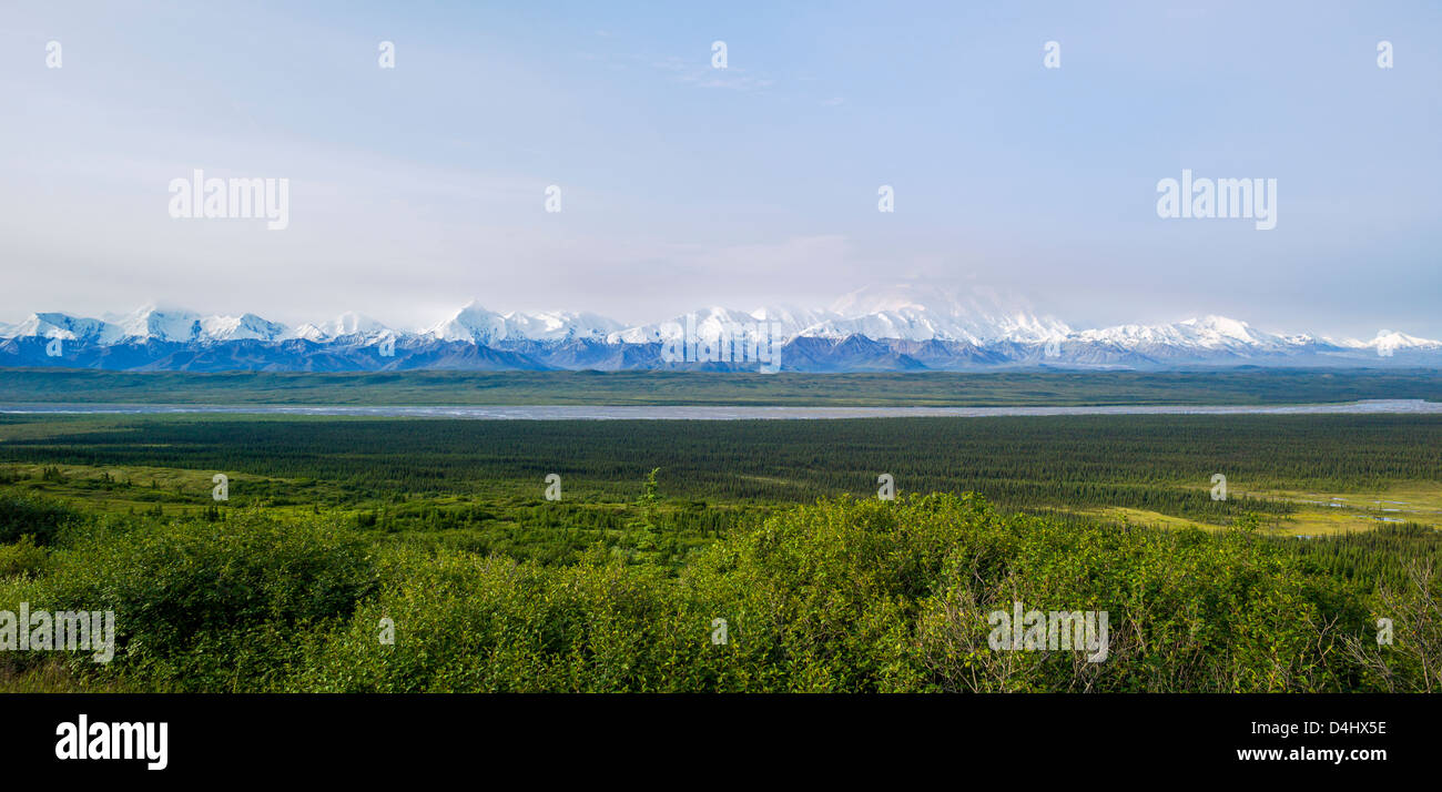 Panorama view of Mt. McKinley (Denali Mountain), highest point in North ...
