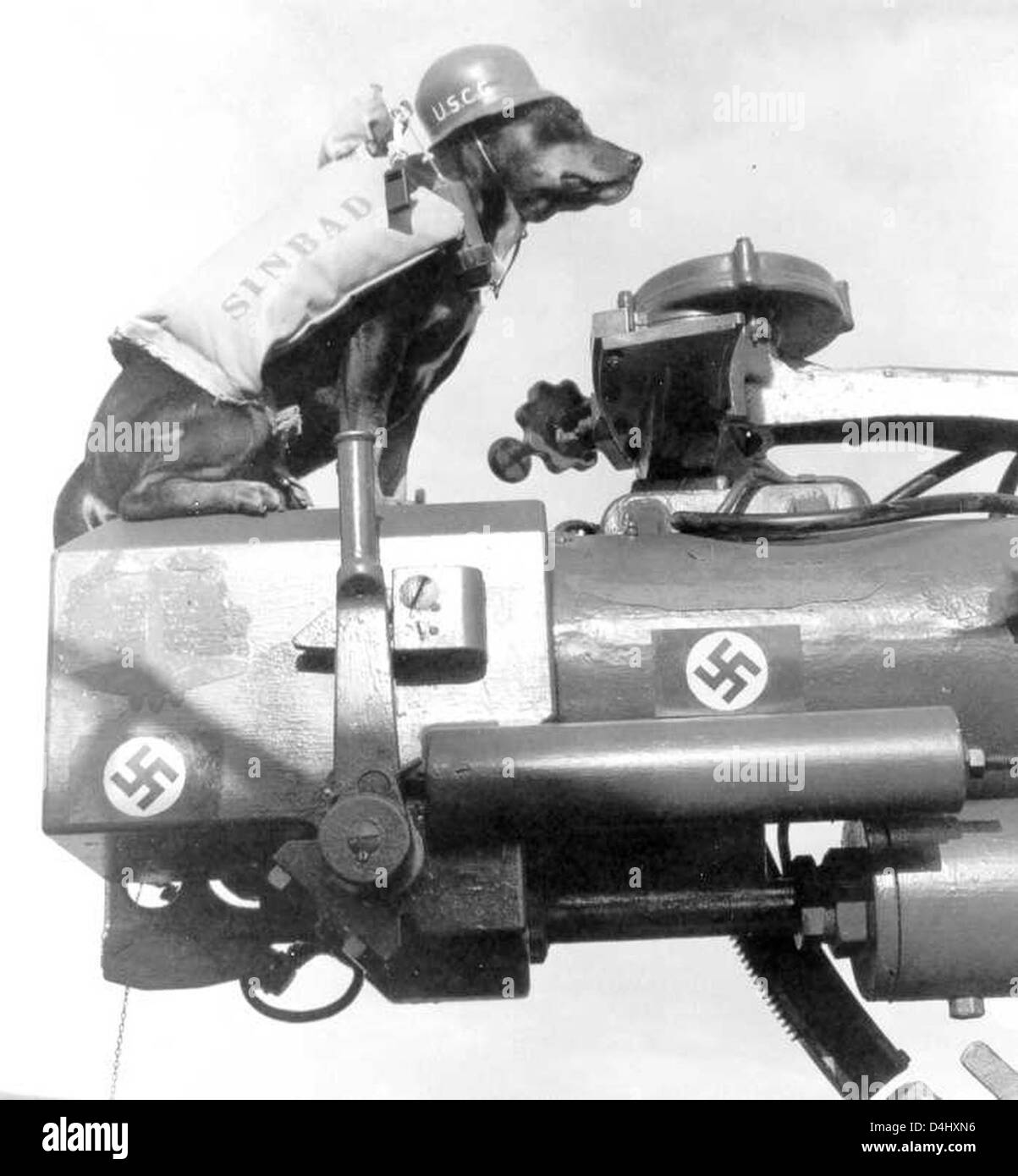 Service timeline Black and White Stock Photos & Images - Alamy