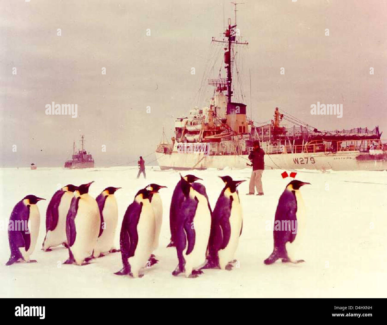 A historical image depicting the U.S. Coast Guard's legacy in maritime ...