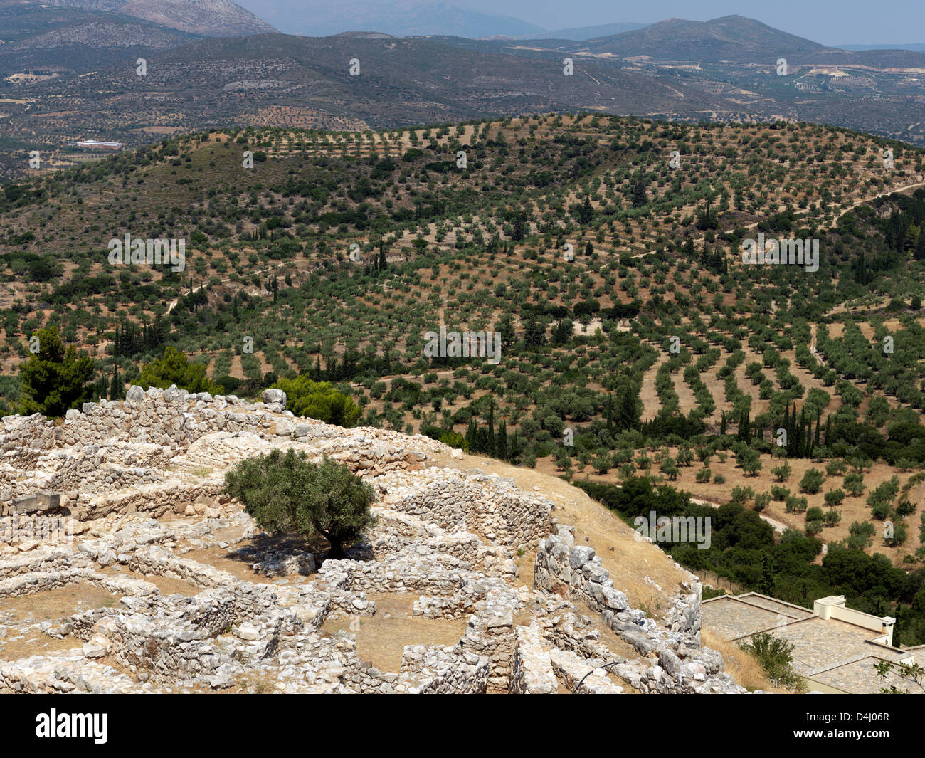 Cyprus trees hi-res stock photography and images - Alamy