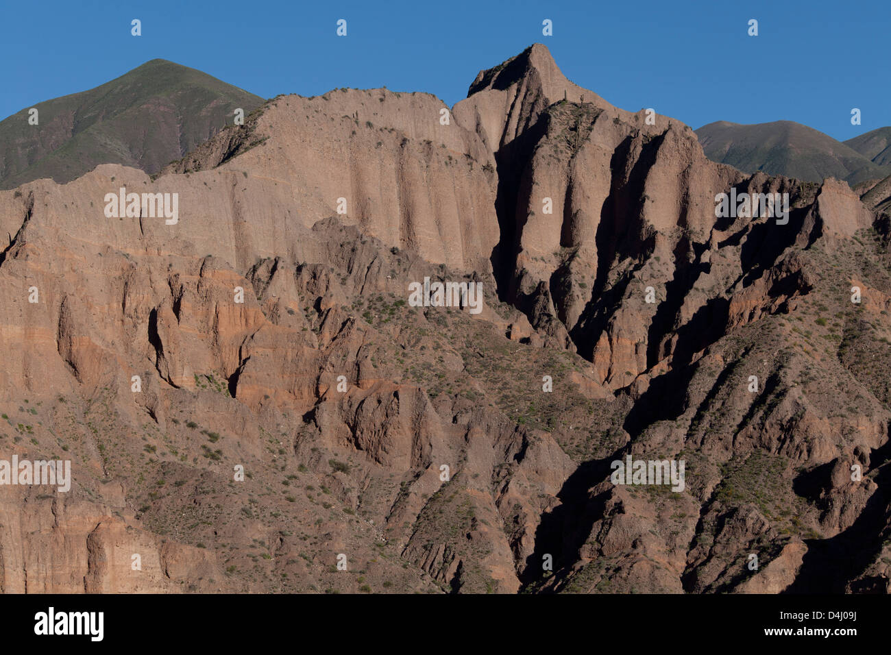 Arid landscape and canyons with cactus and desert rock formations near ...
