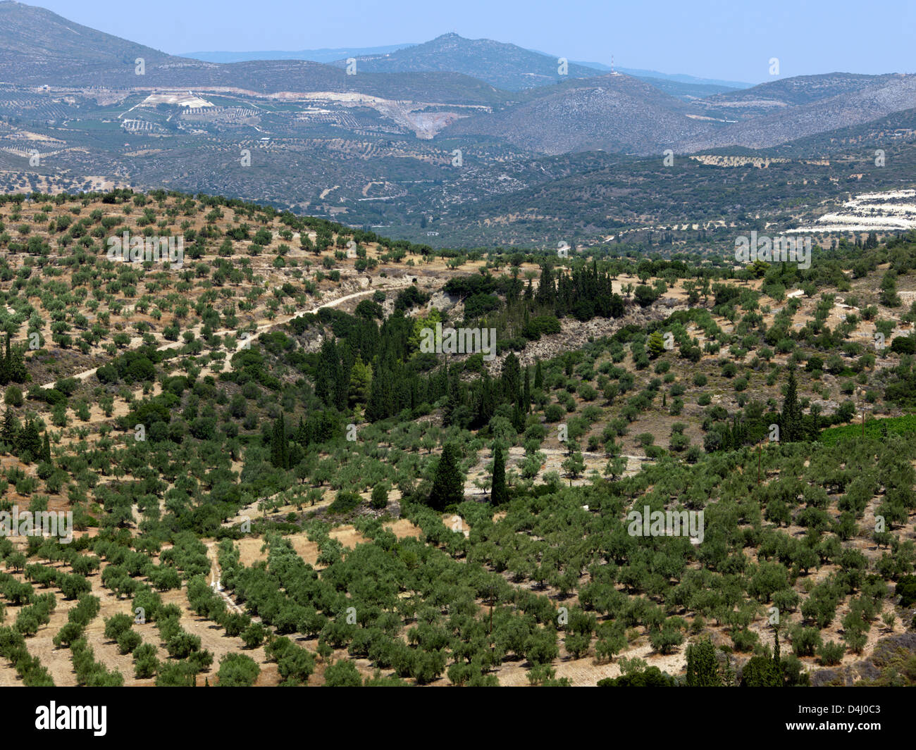 Cyprus trees hi-res stock photography and images - Alamy