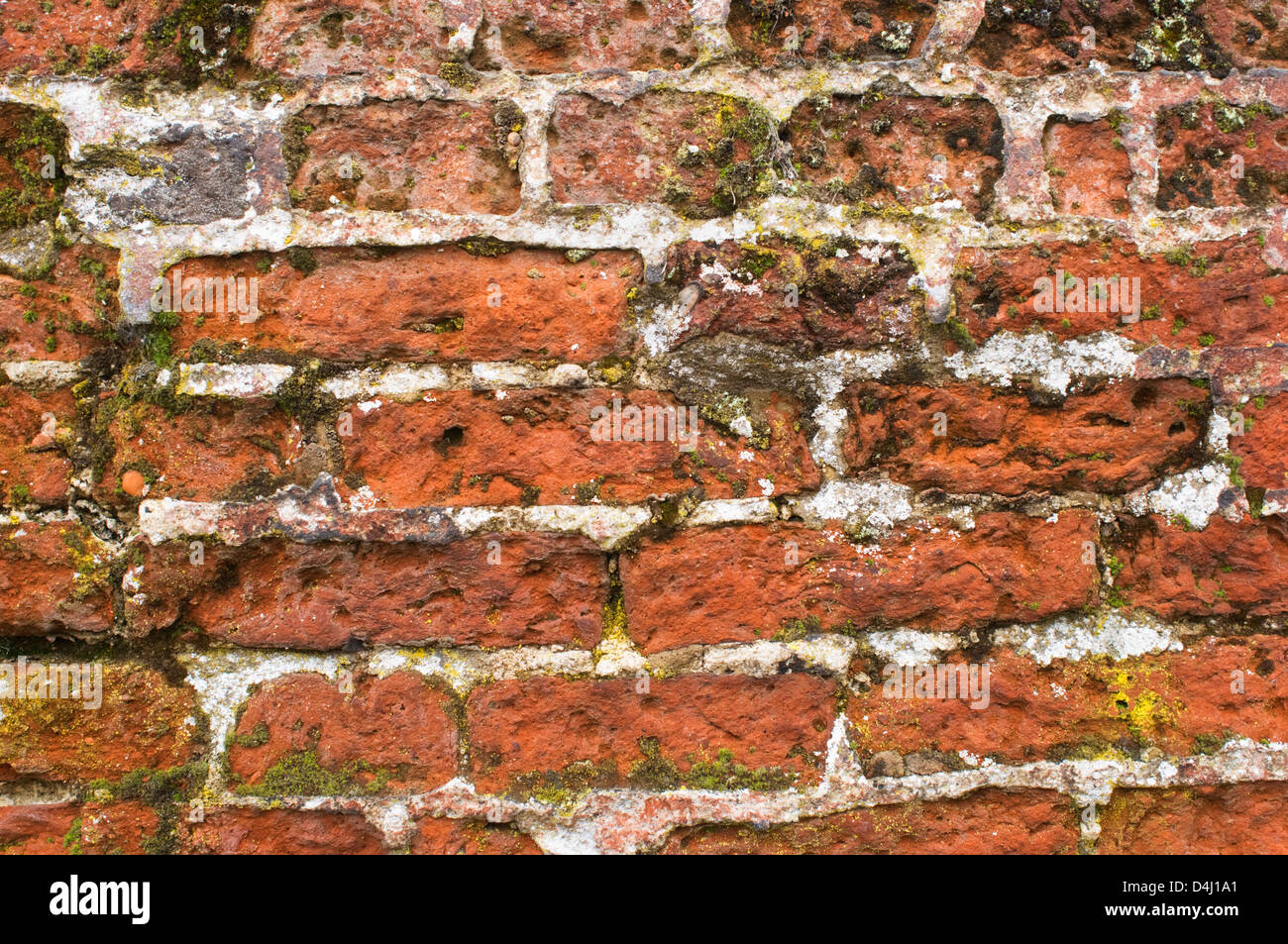 Old crumbling cement blocks wall hi-res stock photography and images ...