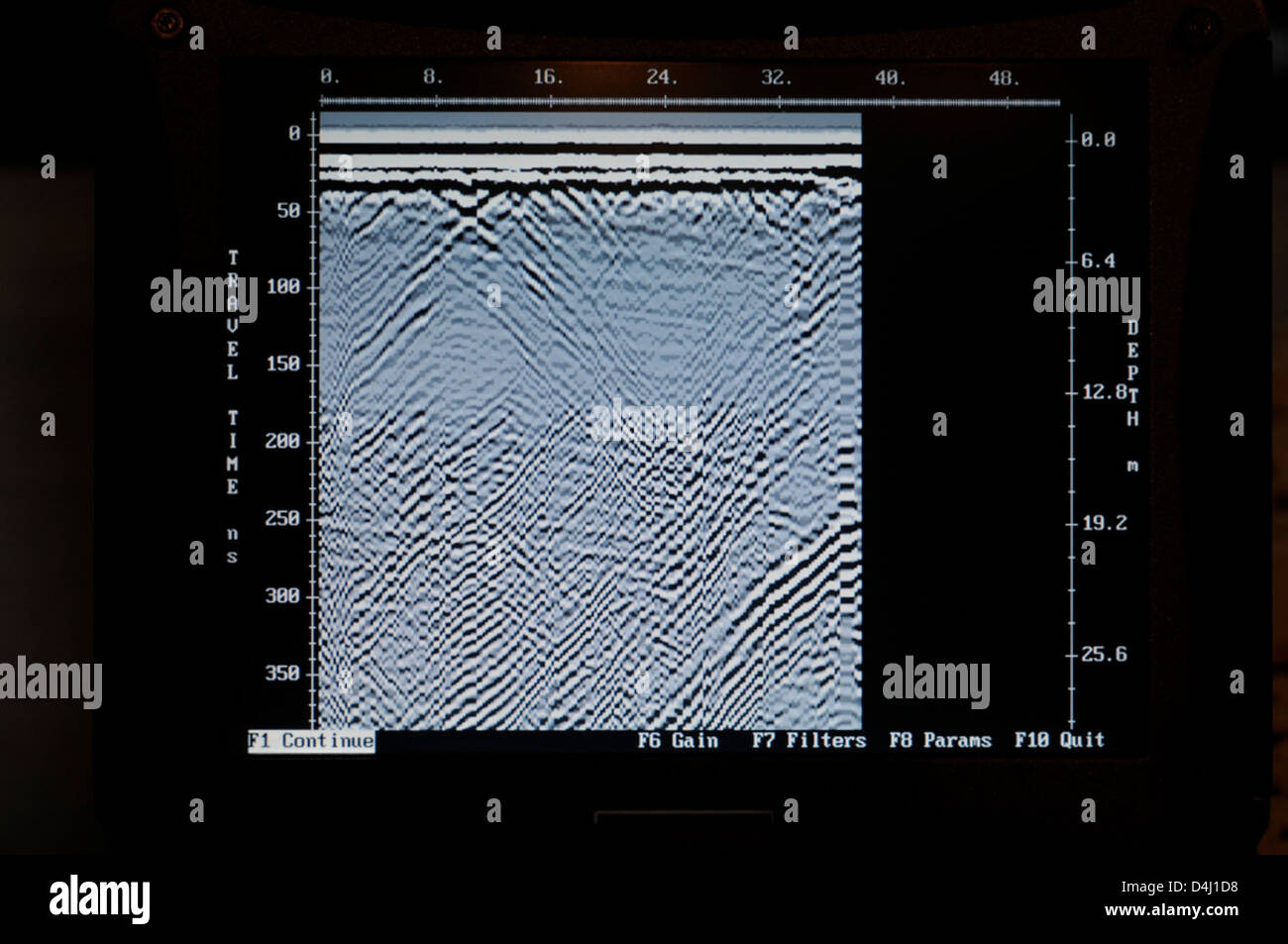 Greenland duck hi-res stock photography and images - Alamy