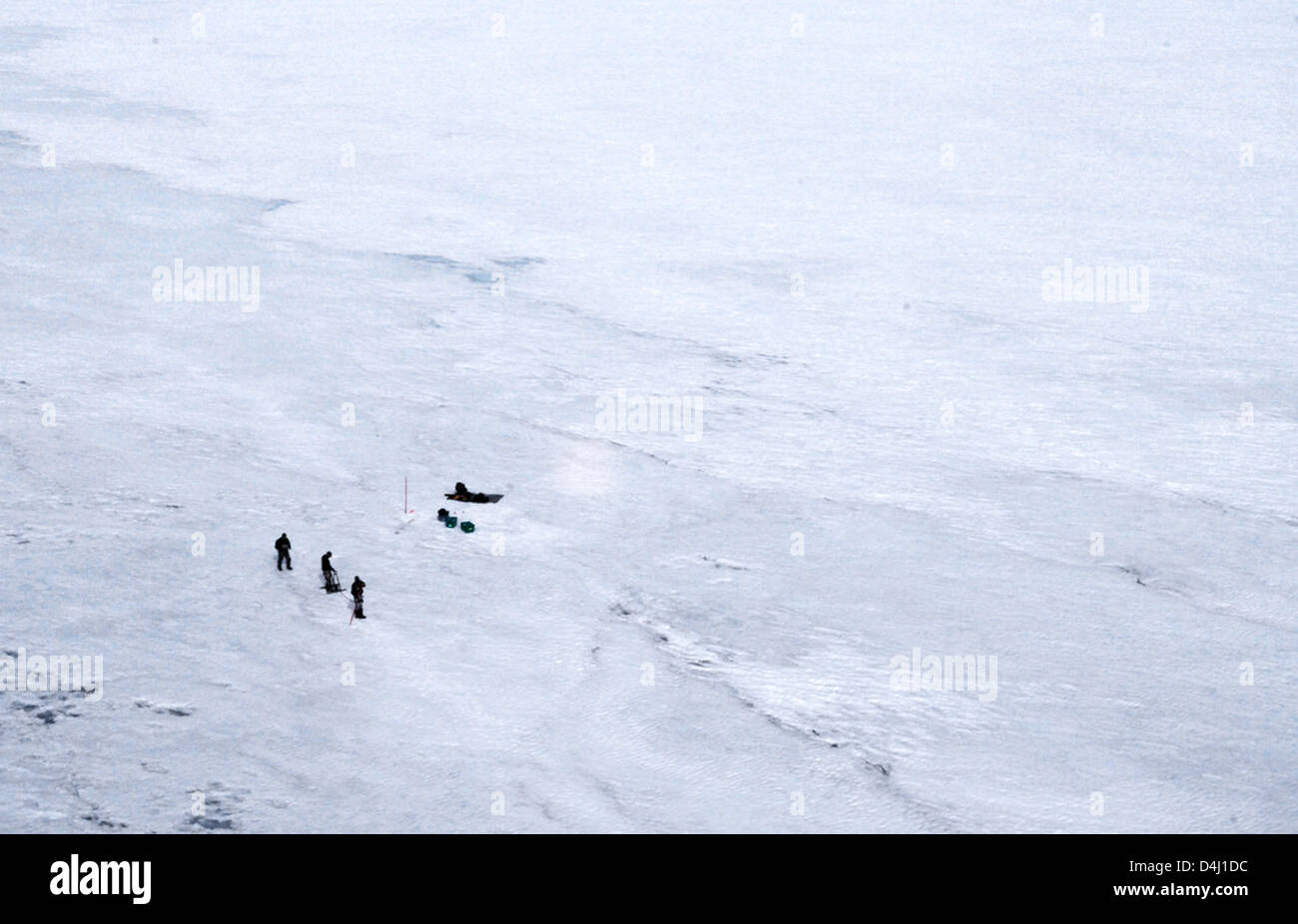 Greenland duck hi-res stock photography and images - Alamy