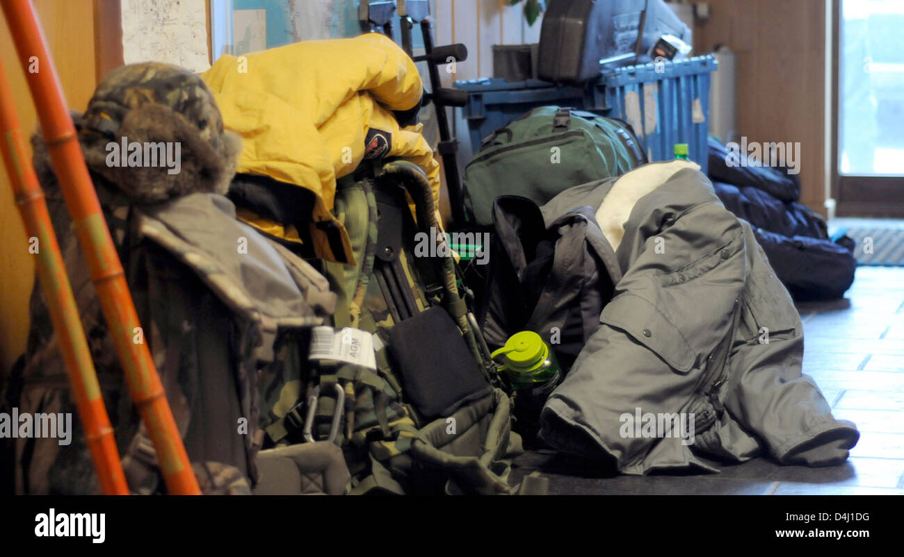 Greenland duck hi-res stock photography and images - Alamy