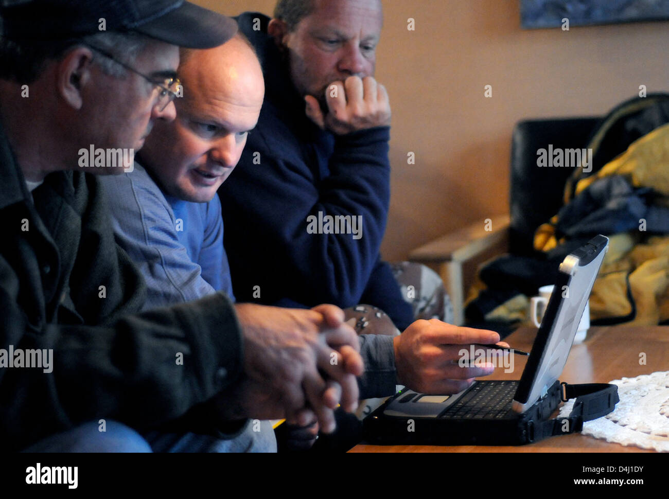 Greenland duck hi-res stock photography and images - Alamy