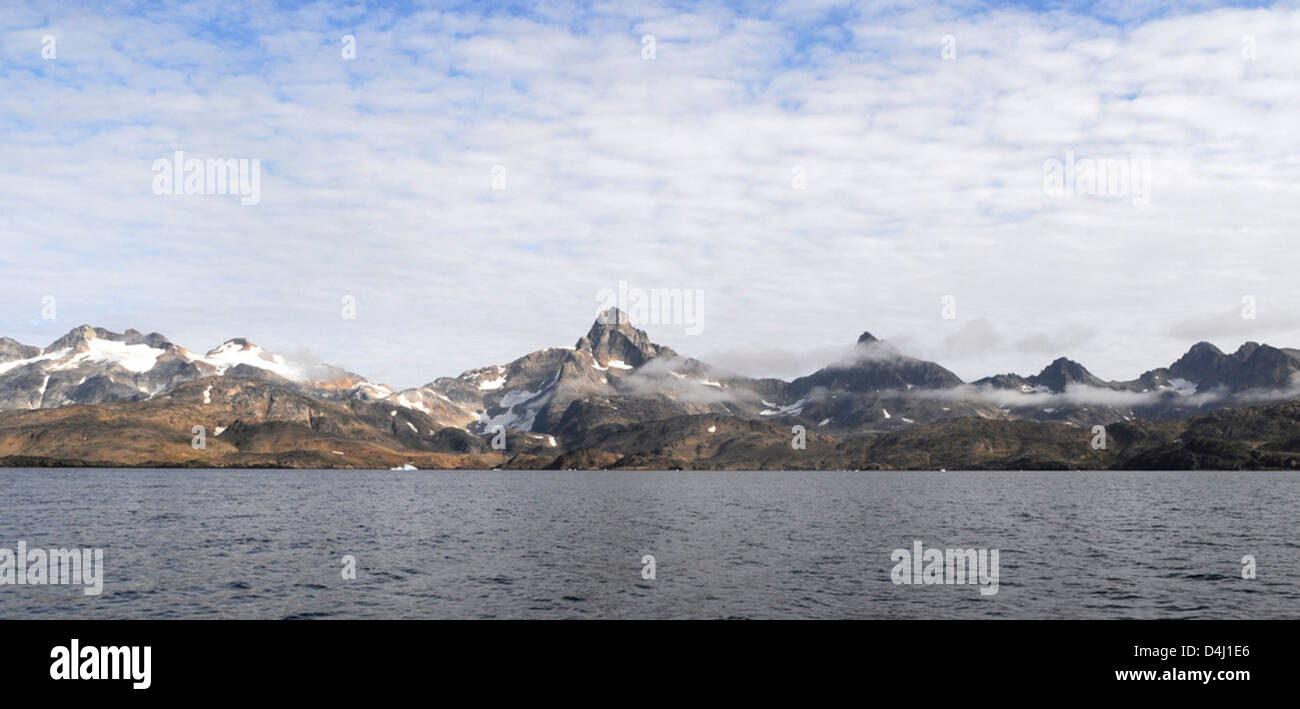 Greenland duck hi-res stock photography and images - Alamy