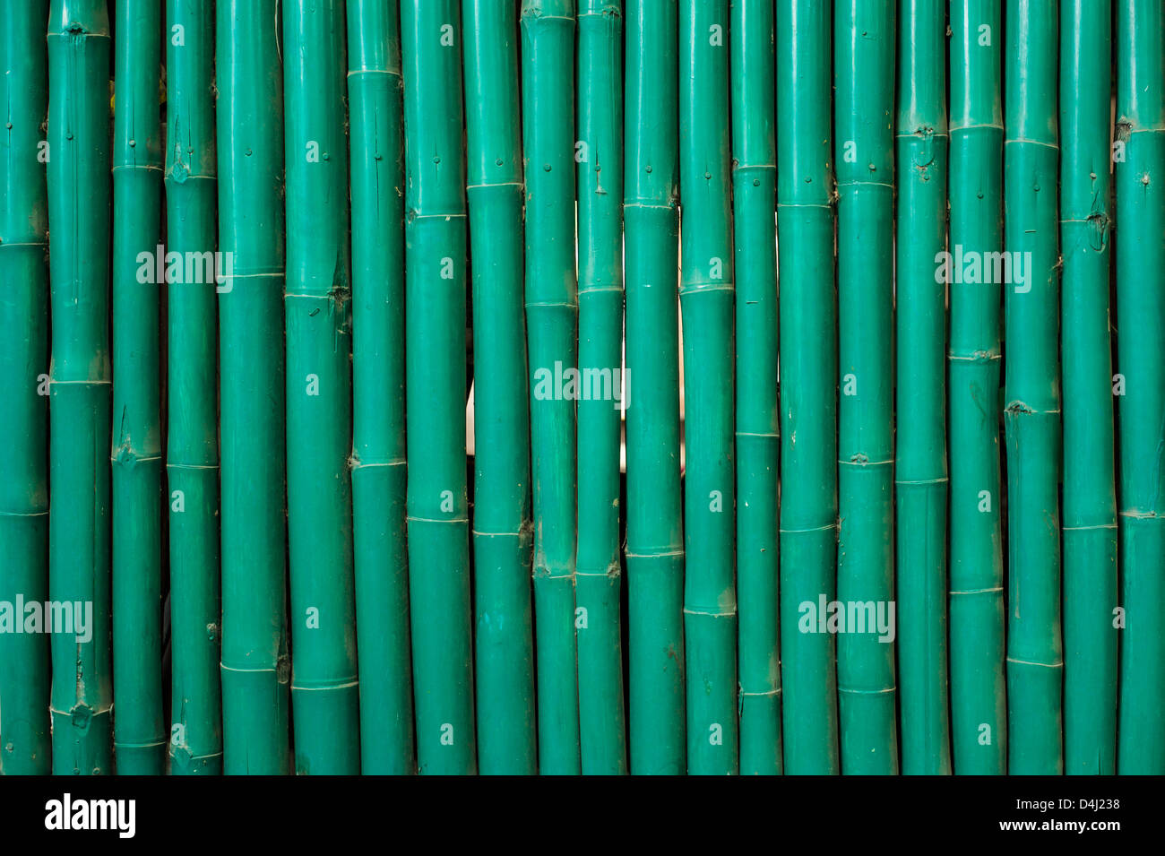 Green bamboo pattern Stock Photo - Alamy