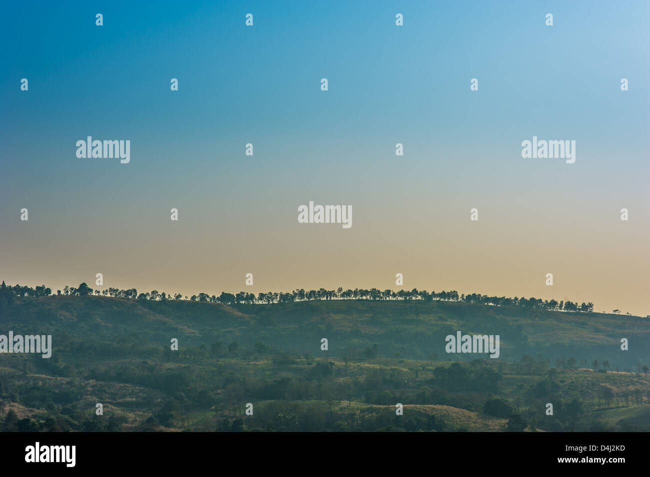 Acclivity with trees Stock Photo - Alamy