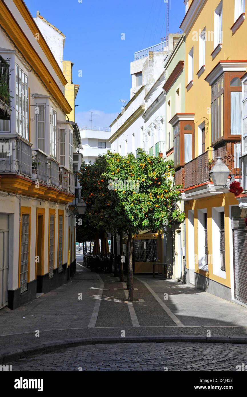 Tangerine Trees and Restaurants in Alleyway in Jerez de la Frontera ...