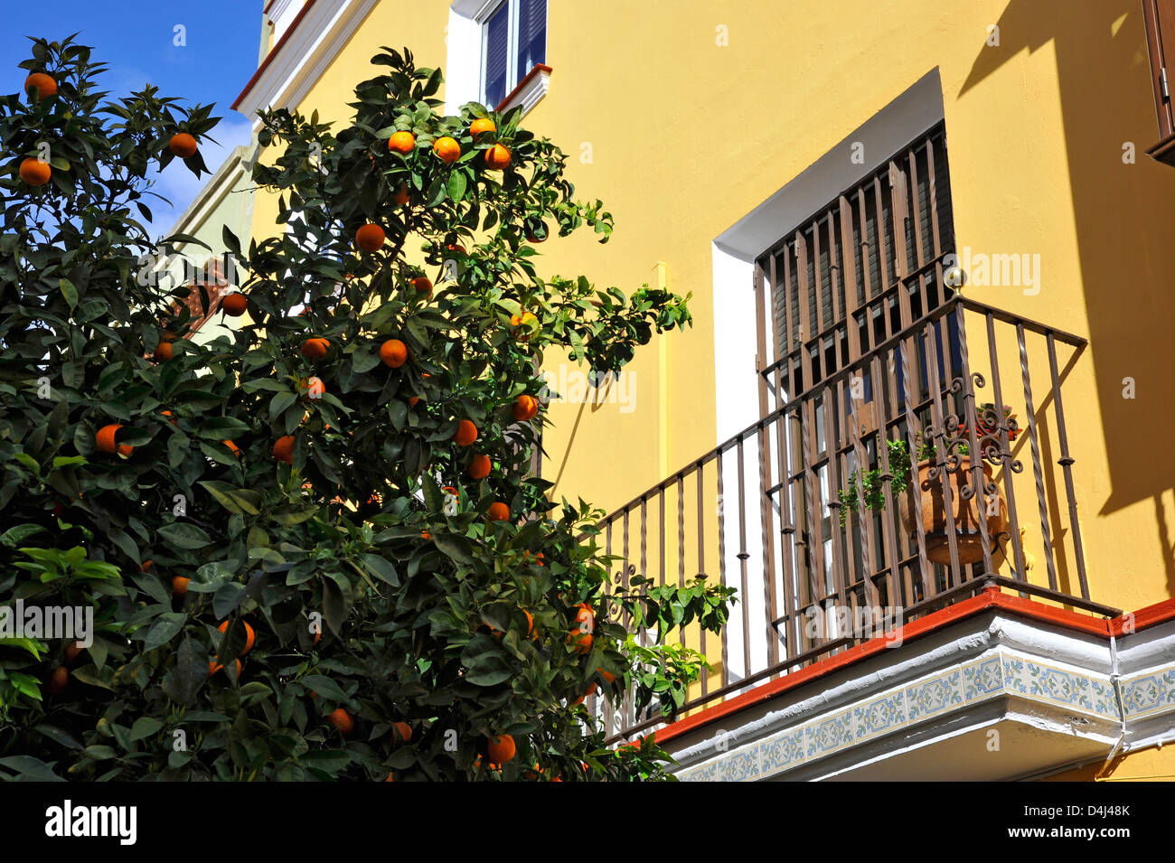 Tangerine Trees and Restaurants in Alleyway in Jerez de la Frontera ...