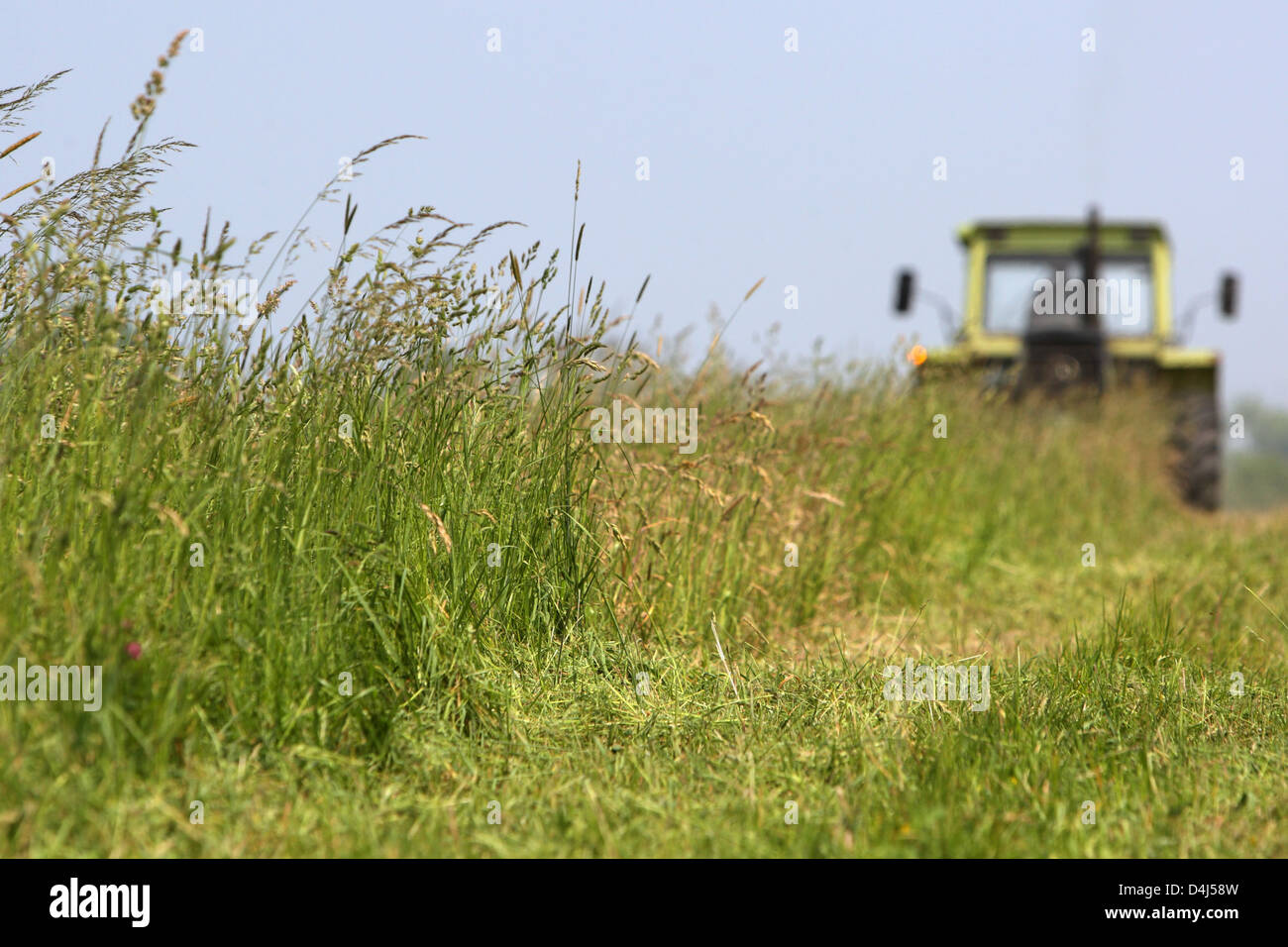 Hamm, Germany, Bauer mulches his pasture Stock Photo - Alamy