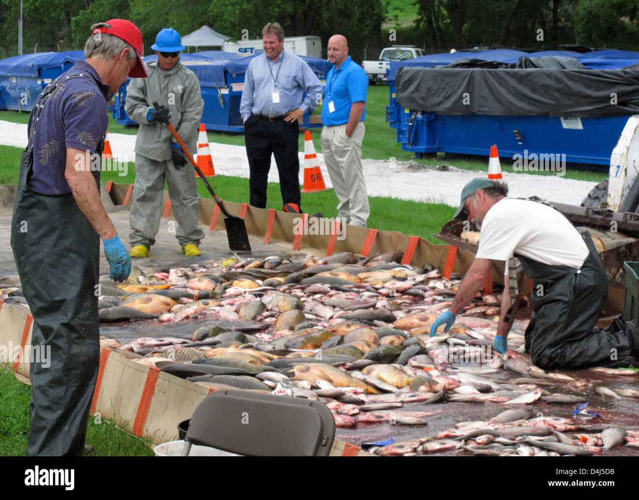 Fishsorting hi-res stock photography and images - Alamy