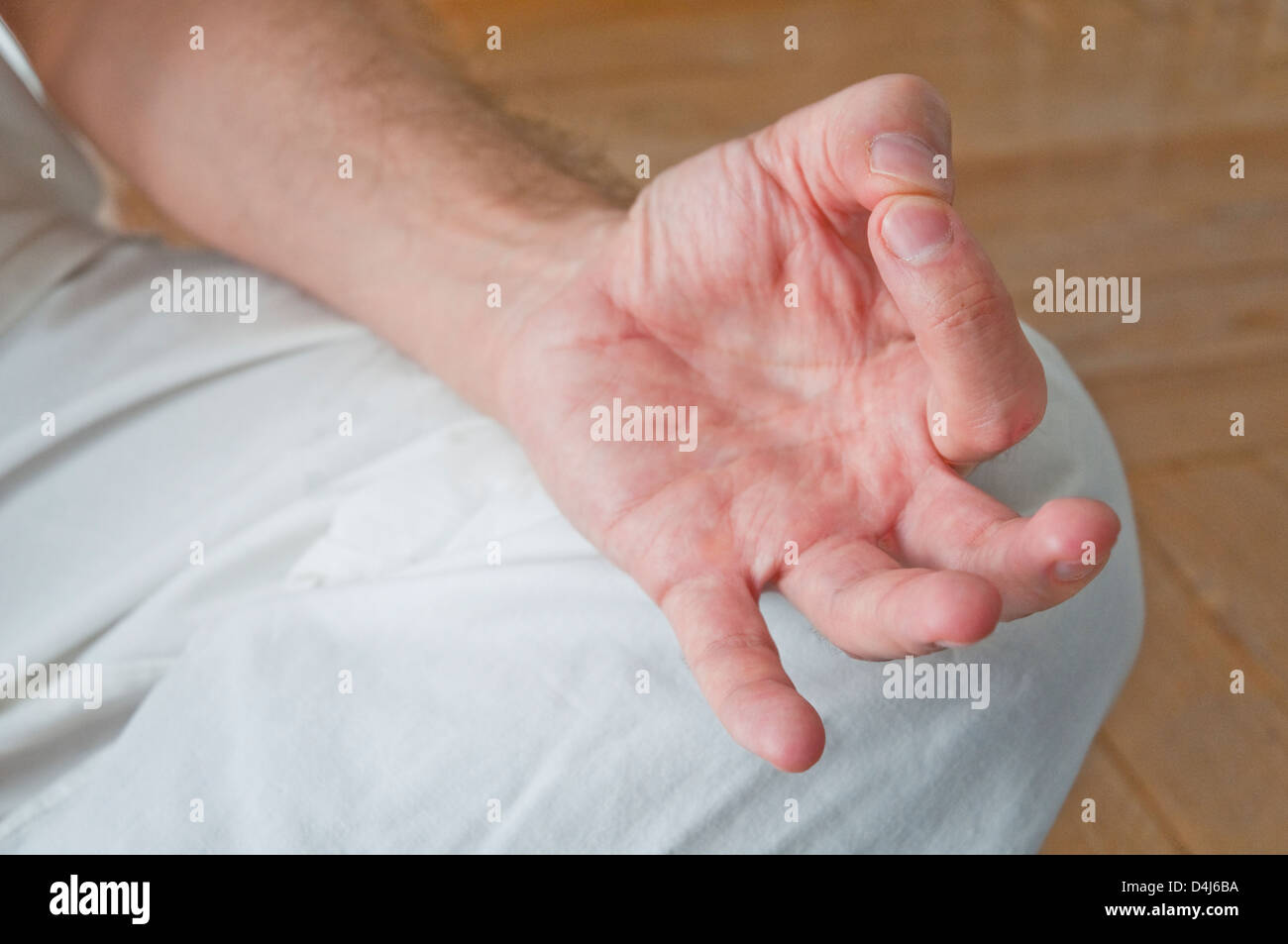 Detalle de loto hi-res stock photography and images - Alamy