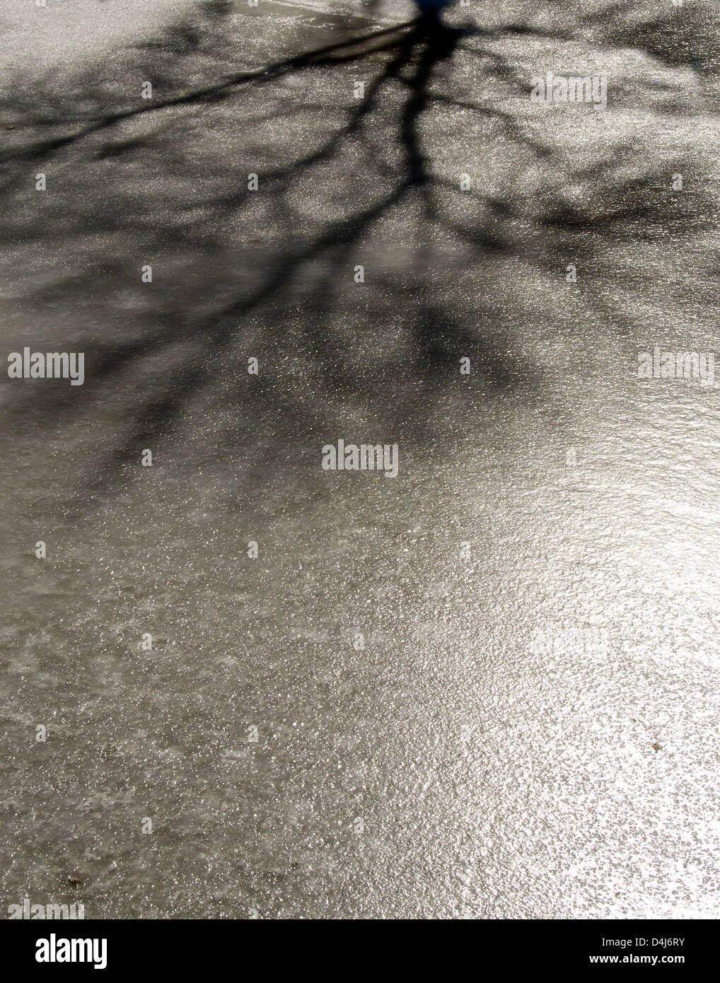 Shadow of tree hi-res stock photography and images - Alamy