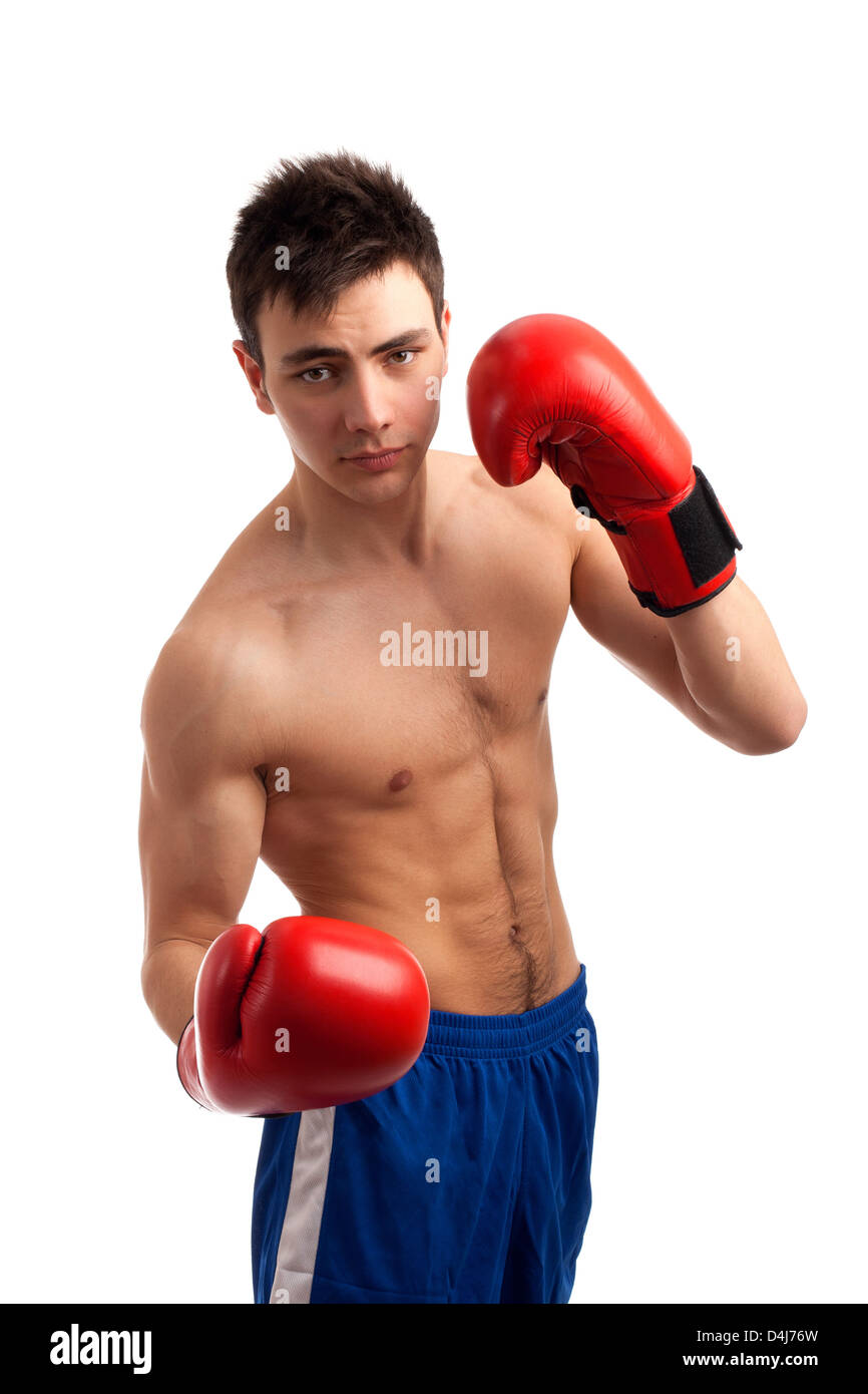 Portrait of boxer Stock Photo - Alamy