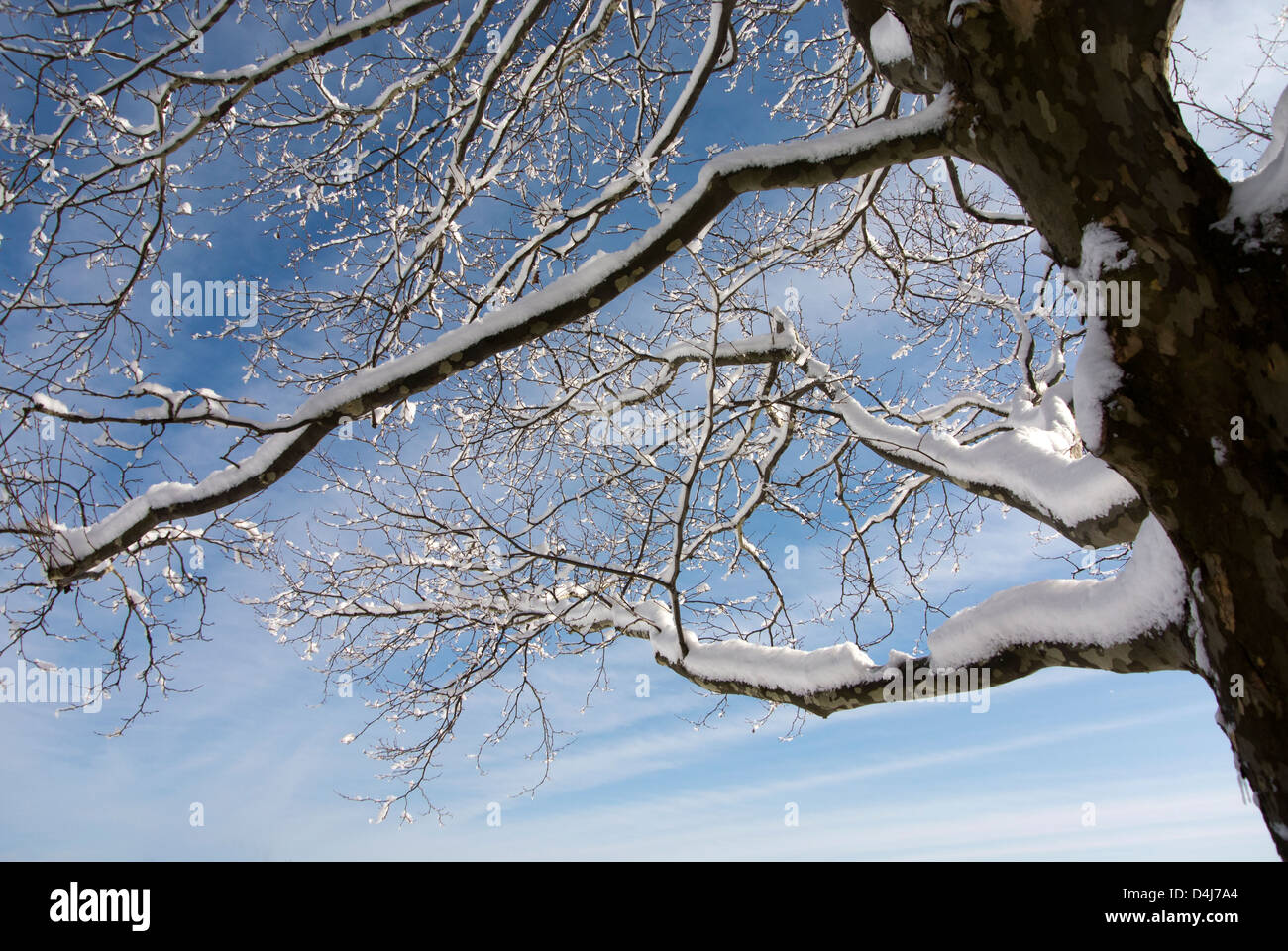 Winter pure snow hi-res stock photography and images - Alamy