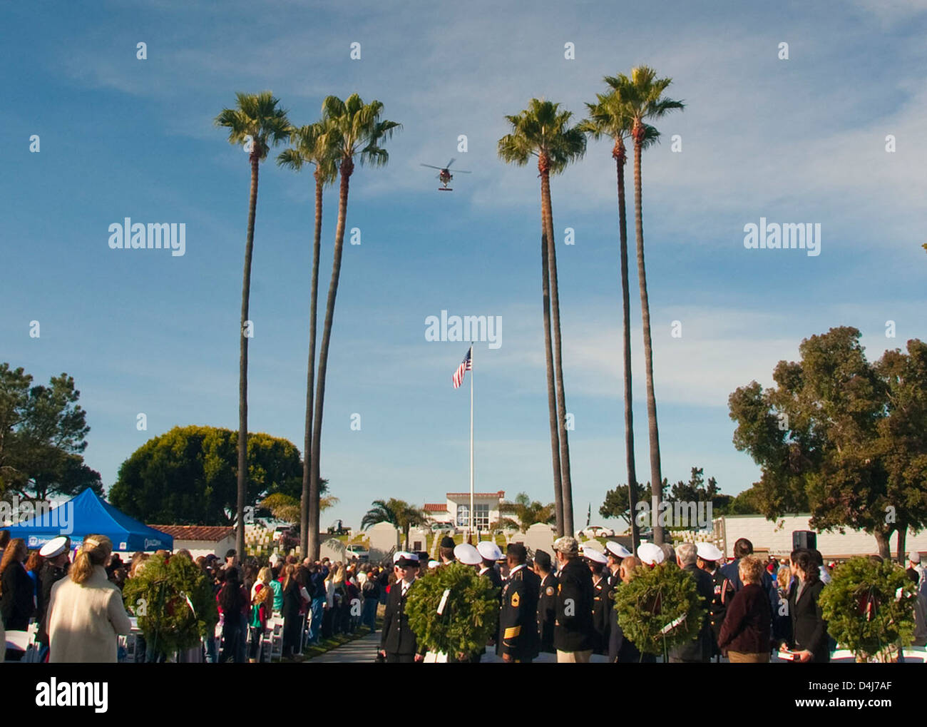 Msd check hi-res stock photography and images - Alamy