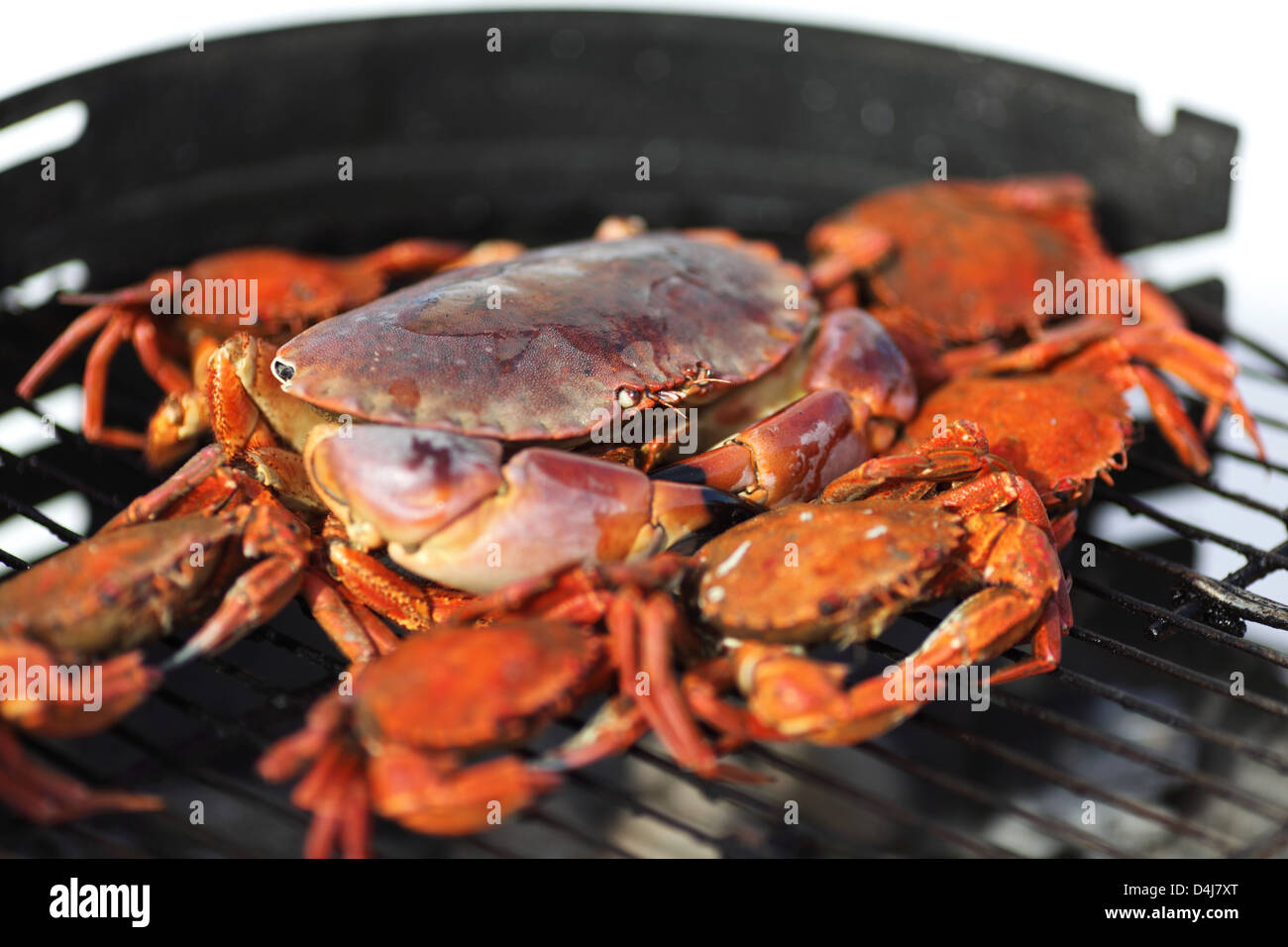 crab on charcoal grill Stock Photo - Alamy