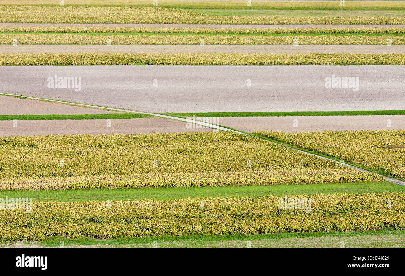 Nice interesting green field pattern Stock Photo - Alamy