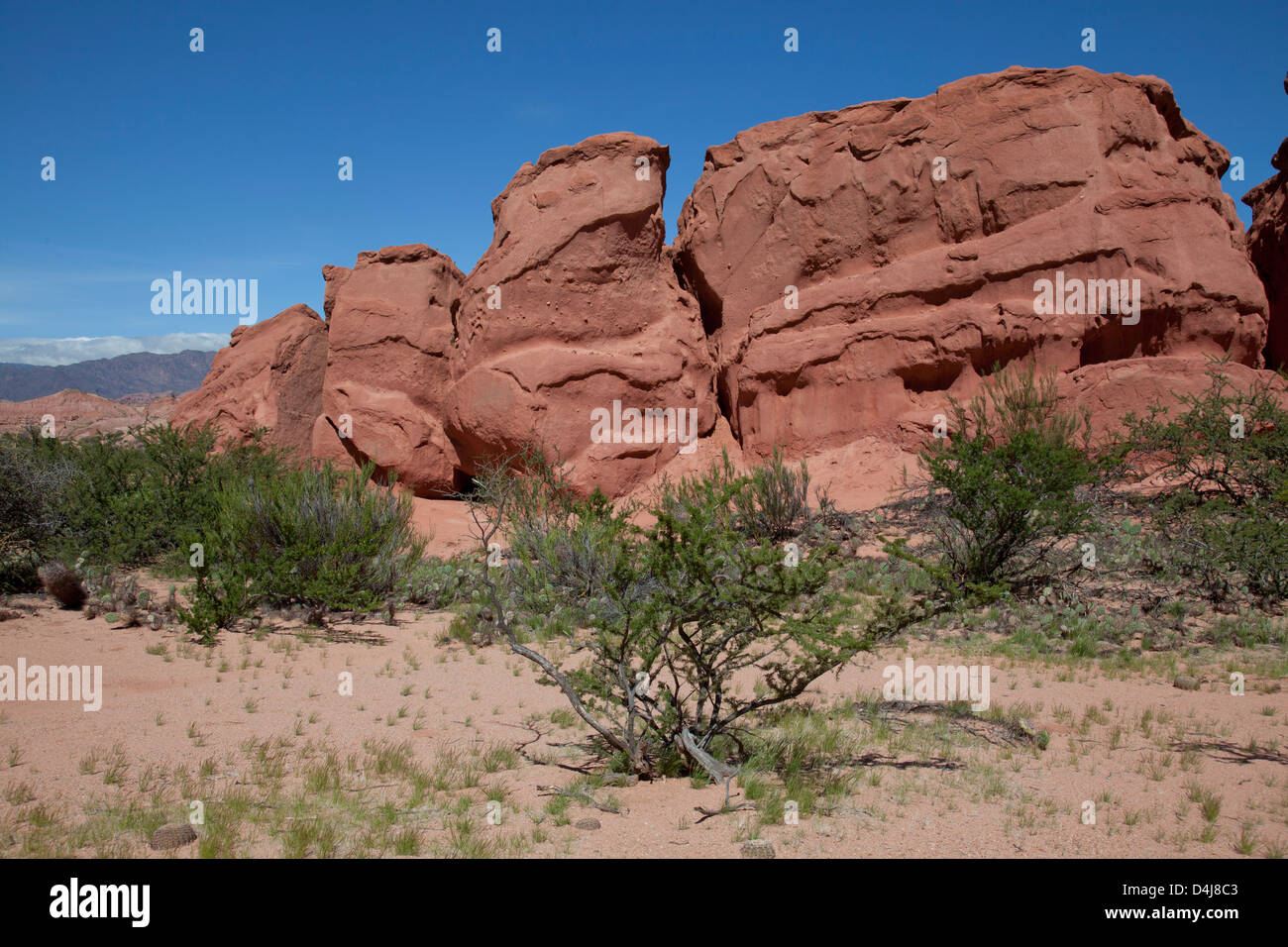 Rock formations and canyons in the foothills of Andes in Cafayate ...