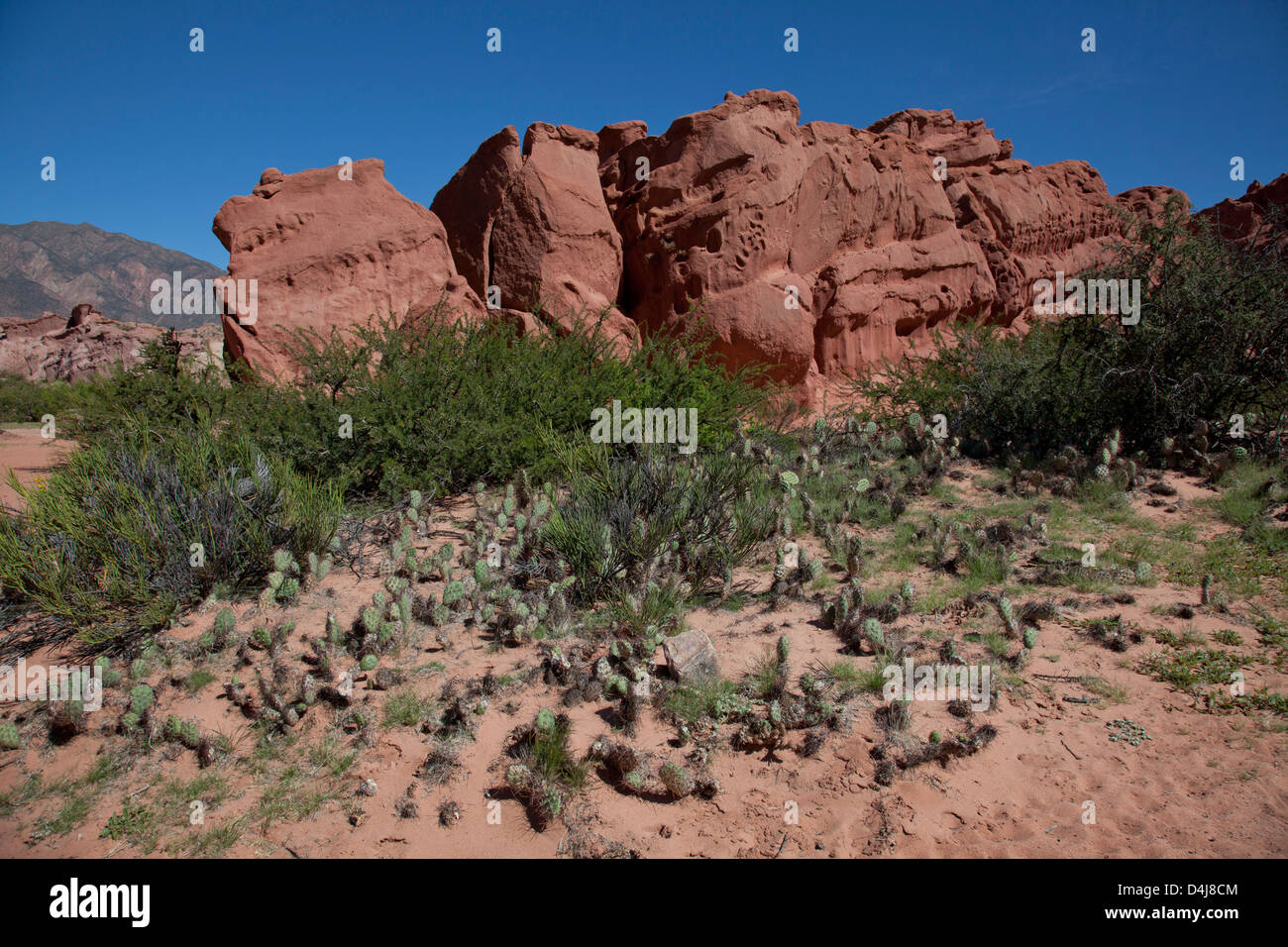 Rock formations and canyons in the foothills of Andes in Cafayate ...