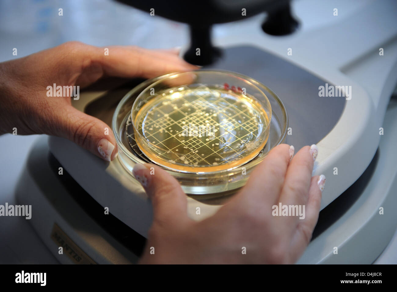 Berlin, Germany, determine the microbial load of drinking water at the ...