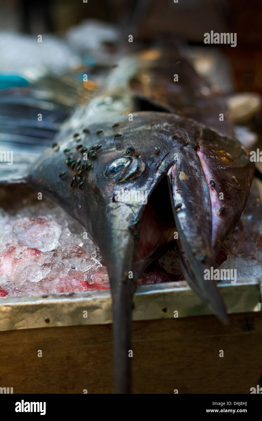 Black sword fish hi-res stock photography and images - Alamy