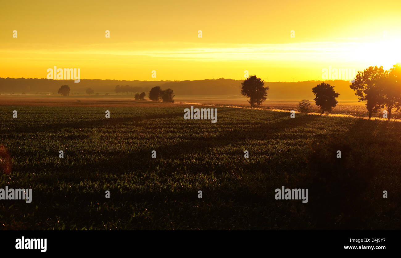 Golden sunset over fields long hi-res stock photography and images - Alamy