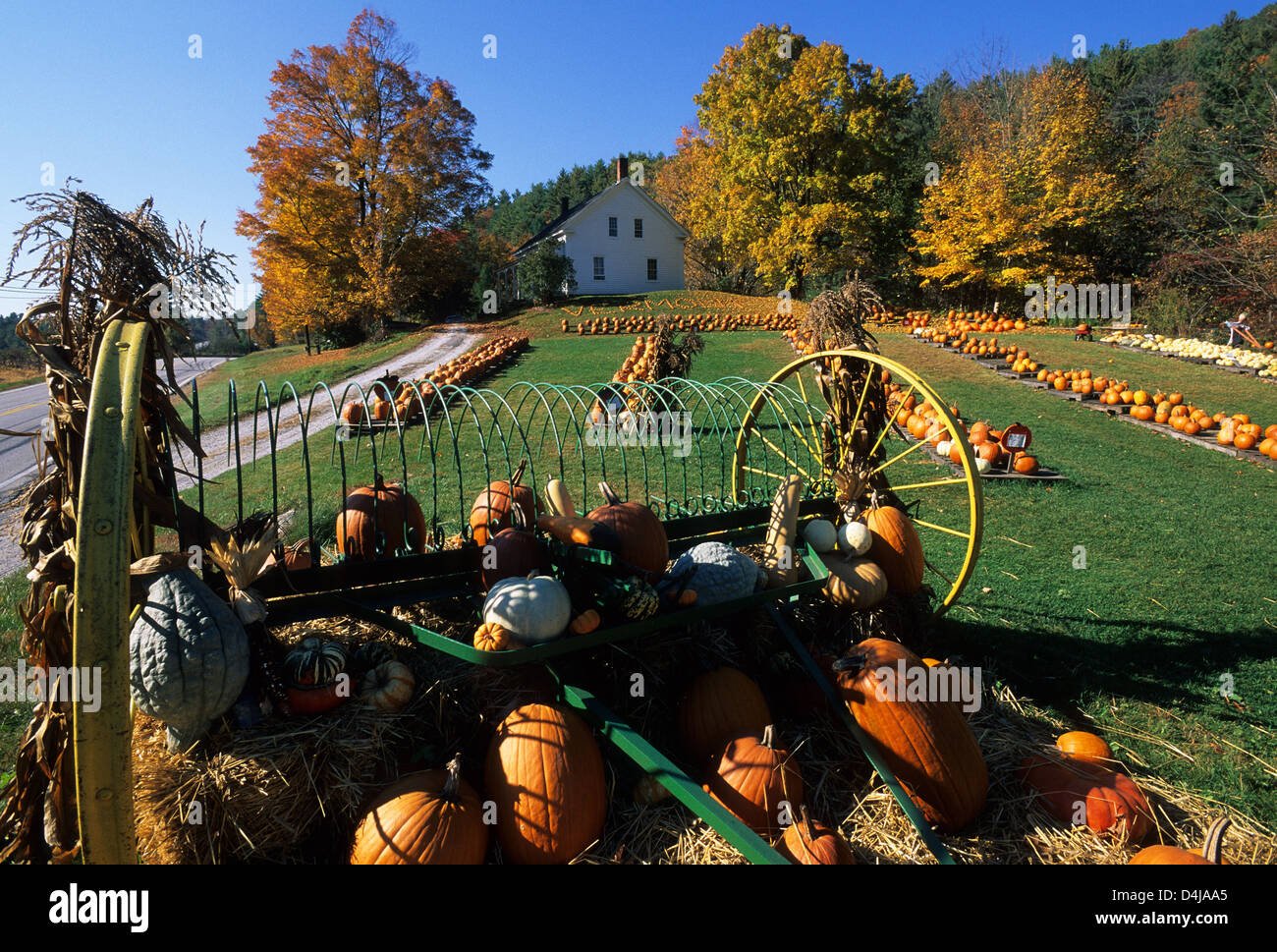 Pumpkin farm new england hi-res stock photography and images - Alamy