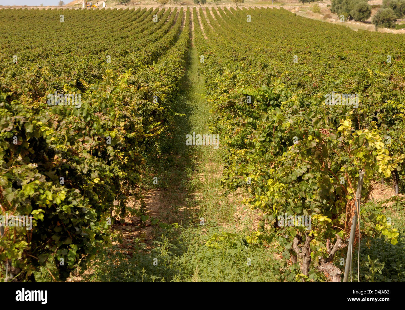 Puglia countryside hi-res stock photography and images - Alamy