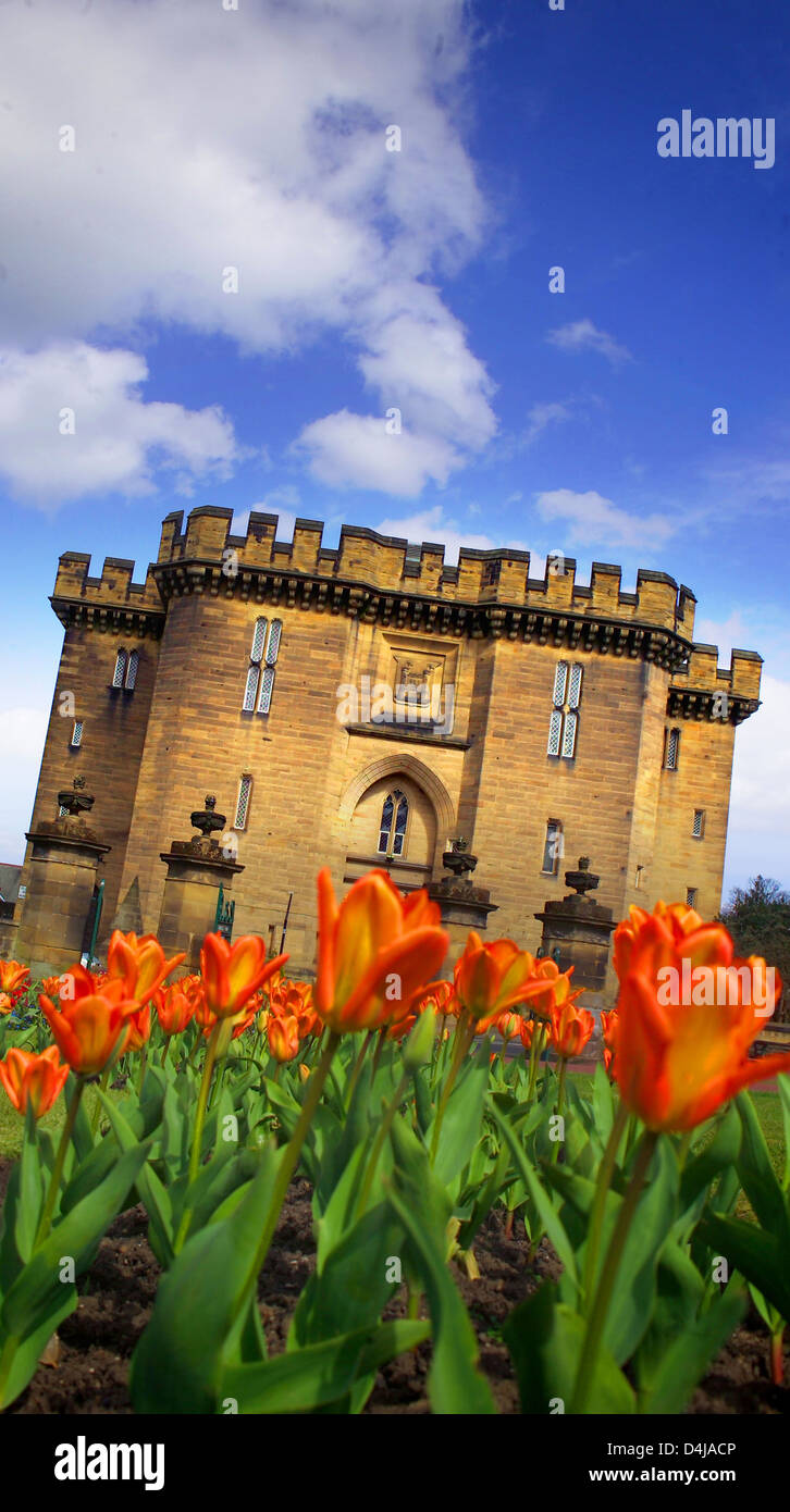 View of Courthouse from Carlisle Park, Morpeth, Northumberland Stock ...