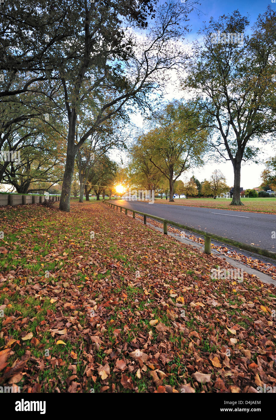 Sunset from recreational park during autumn with leaves on the ground ...