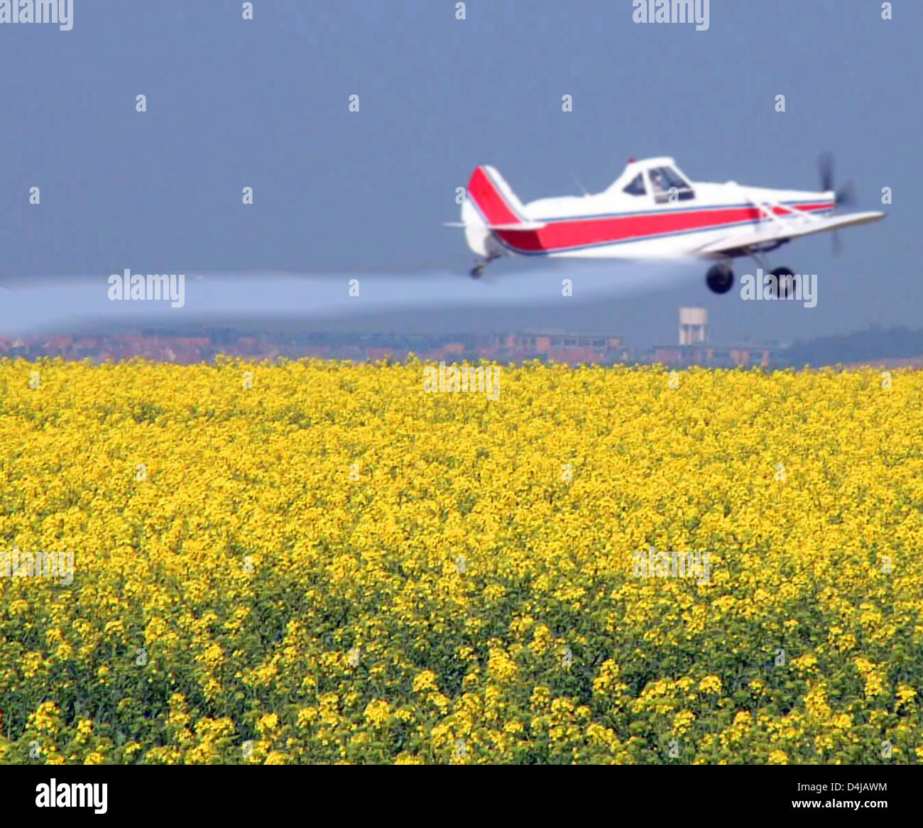 Crop duster spraying rape seed field Stock Photo - Alamy