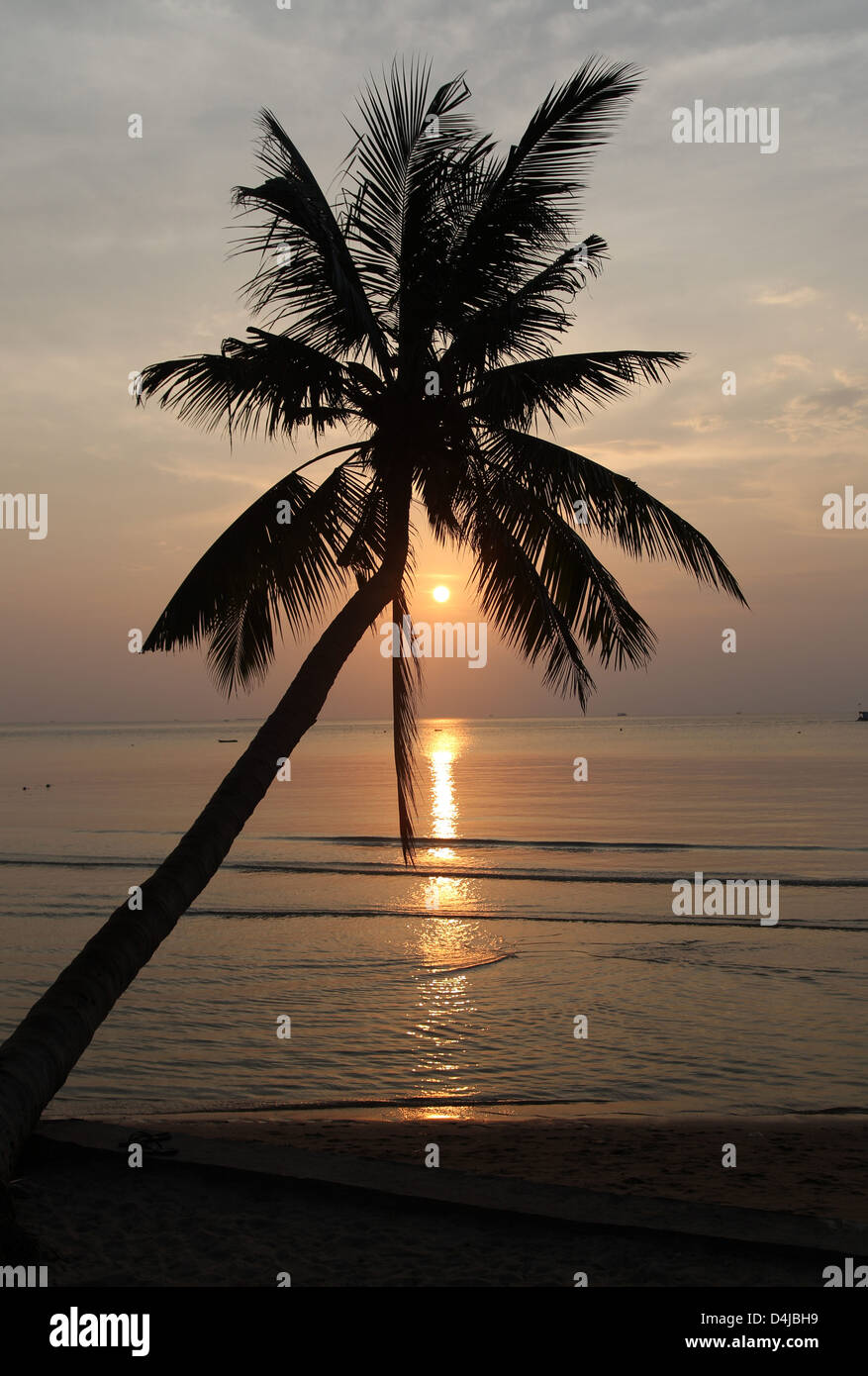 Sunset at Sairee Beach, Koh Tao, Thailand Stock Photo - Alamy