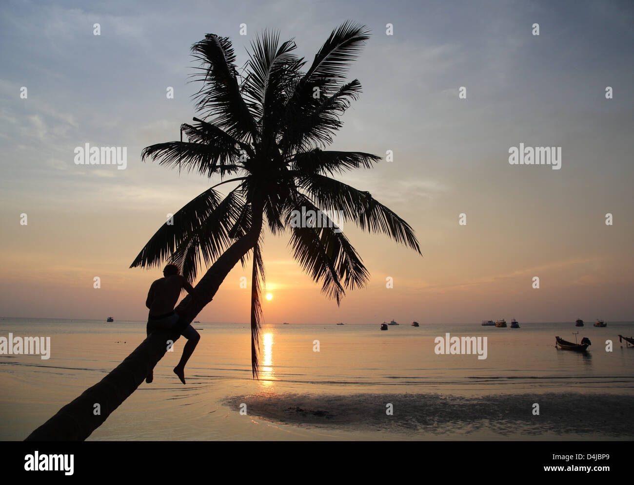Sunset at Sairee Beach, Koh Tao, Thailand Stock Photo - Alamy