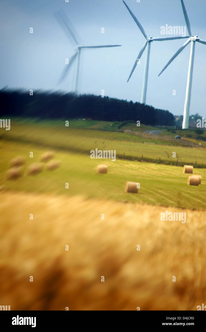 Wind turbines in field of corn Stock Photo - Alamy