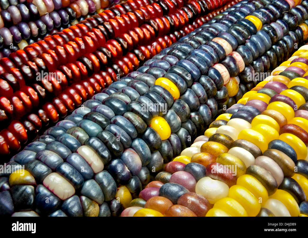 Indian calico hi-res stock photography and images - Alamy