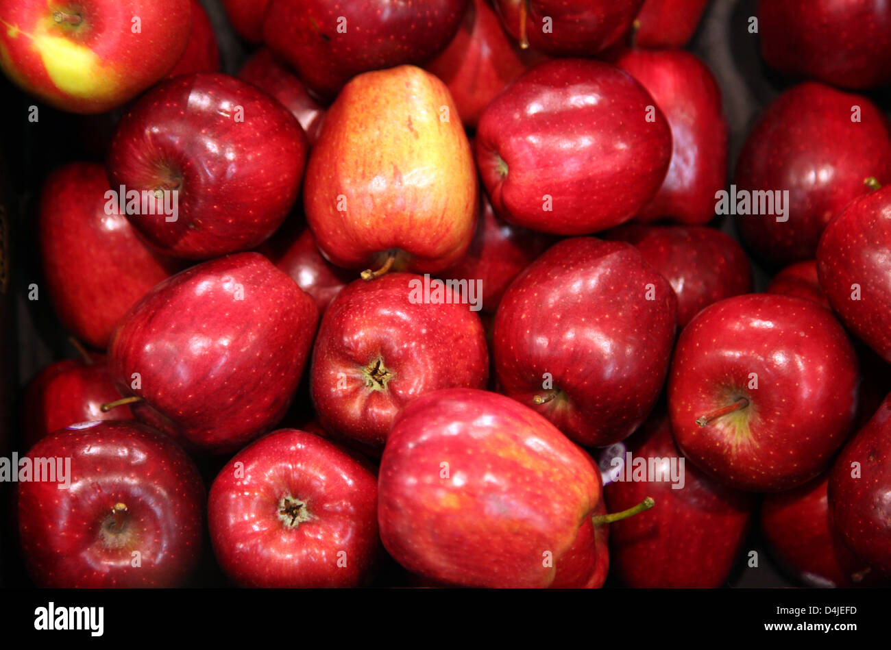 It's a photo of red apples view from the top. They are side by side in ...