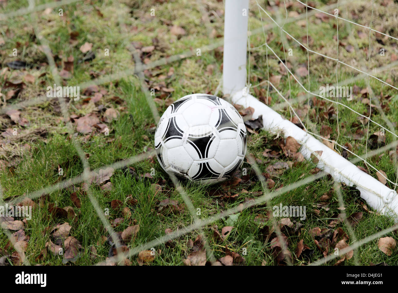It's a photo of a small football field in the back garden park of a ...